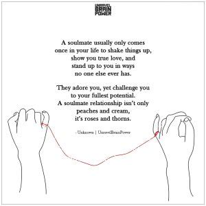 A Soulmate Usually Only Comes Unravel Brain Power