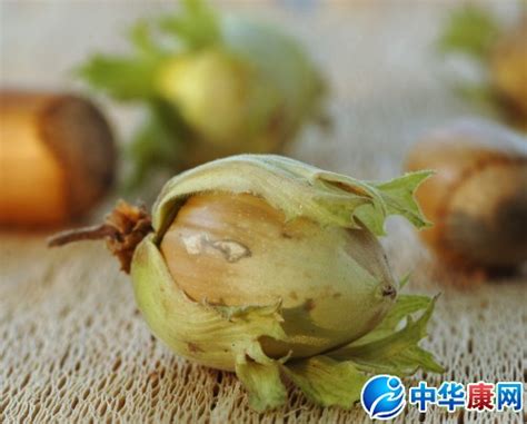 银杏树种子银杏树种子图片 银杏树种子怎么种 中华康网