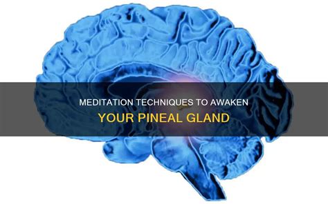 Meditation Techniques To Awaken Your Pineal Gland Shunspirit