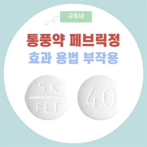 통풍 약 페브릭정 부작용 효능 효과 성분 복용법 네이버 블로그