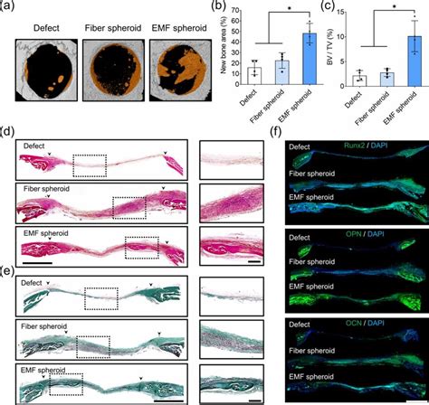 A Micro Ct Analysis And Quantification Of B New Bone Area And C