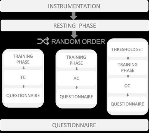 Schematics Of The Experimental Protocol Followed For Each Participant
