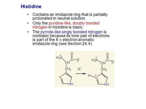 Which Amino Acids Contain Imidazole Ring At Paula Banks Blog