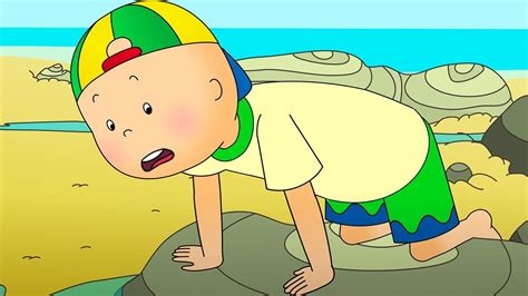 Ocean Adventure Caillou Cartoon Youtube