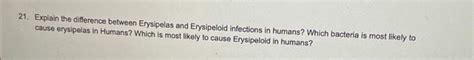 Solved 21 Explain The Difference Between Erysipelas And Chegg