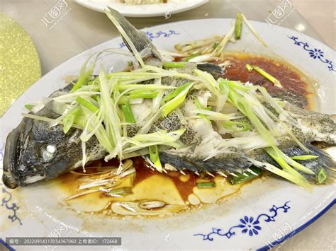 清蒸龙趸鱼 中国菜系 食品餐饮 摄影素材 汇图网www huitu