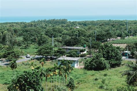 習巫之路 孢子囊電影院