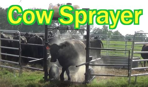Friday Feature The Cow Sprayer Automated Fly Control System Panhandle Agriculture