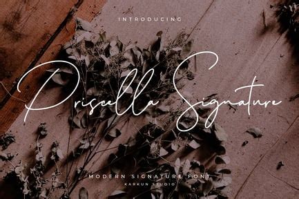 Priscilla Signature Font Script And Handwritten Ft Bold And Popular