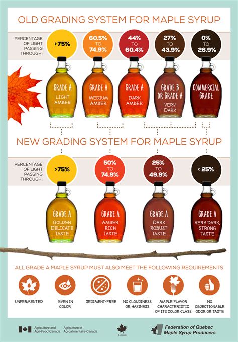 Types Of Maple Syrup