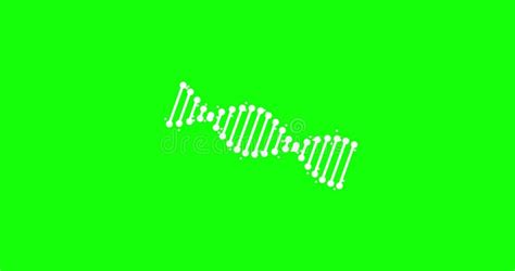 Animation Of Abstract Dna Fragment With Seamless Loop On Black Background Conceptual Design Of