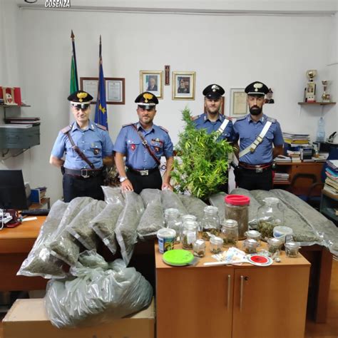 Cerisano Sequestrati Oltre 25 Chili Di Droga Arrestato Un 40enne