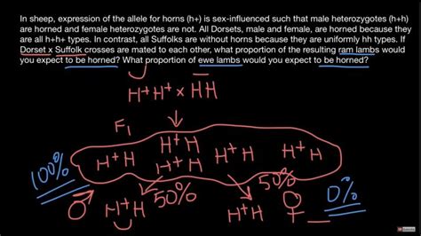 Sex Limited And Sex Influenced Traits In One Sex Nikolays Genetics