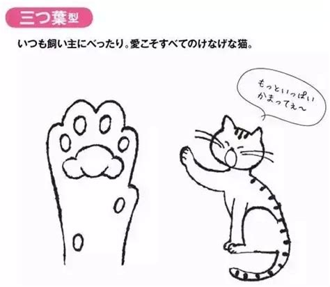 猫也能看手相？！5种肉垫对应5种性格，你的猫是哪一款？ 知乎