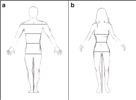 Male A And Female B Outlines Drawn By The Same Participant The