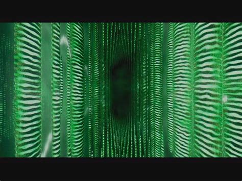 🔥 [60 ] The Matrix Wallpapers And Screensaver Wallpapersafari