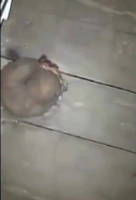 Cutted Cock And Balls