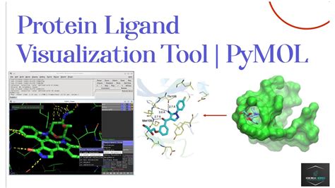 Protein Ligand Visualization Tool Pymol Tutorial For Beginners Youtube