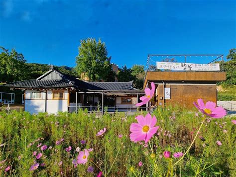 Identicalven [카이미래] 한국항공우주산업 공채 최종 결과가 발표되었습니다 합격하신분들 모두 축하드리구요 안되신 분들도 저희 Kai 전형에 최종까지