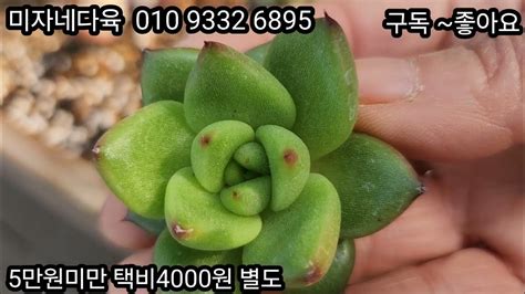 3월22일금요일 ♡ ️ 해피 해피 1만의행복 ♧이쁜아가들보러오세요 ♧ Youtube