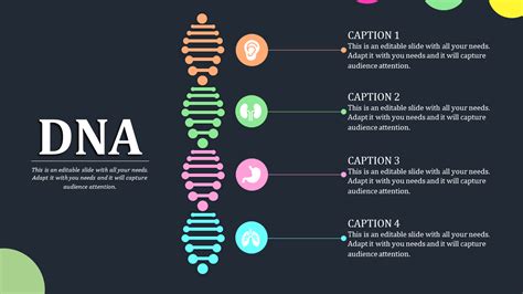Dna Template Dna Powerpoint Template Genes Dna Powerpoint Template