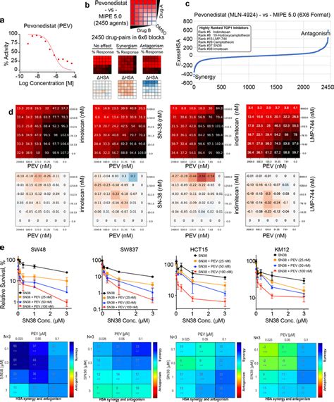 High Throughput Screening Identifies Pevonedistat PEV With TOP1