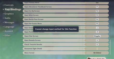 Why Is Elemental Sight Keybind Not Changeable And Why Is Vertical