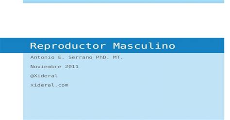 Curso Histologia 18 Sistema Reproductor Masculino Ppt Powerpoint