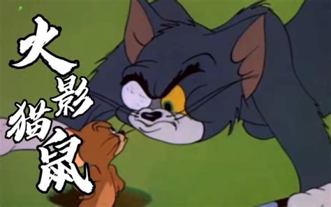 火影猫鼠我已褪去猫皮生华成虎了 龙鸣漫剪a 龙鸣漫剪a 哔哩哔哩视频