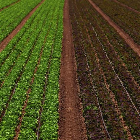 Jain Irrigation Inc On Linkedin How Much Water Can You Lose With