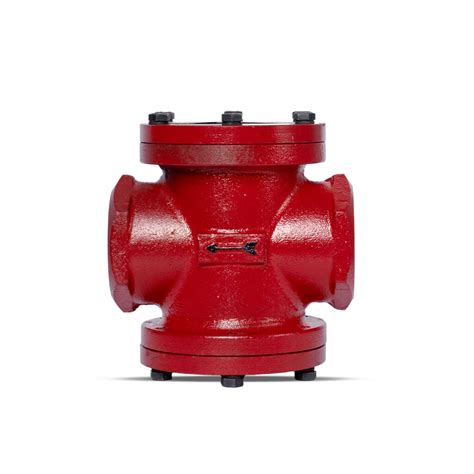 FILTER CI BODY BSPF THREAD Pune Gas