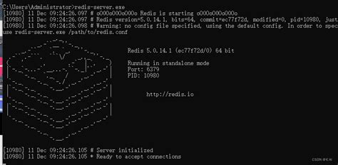 Liunx系统安装redisredis免安装linux Csdn博客