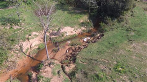 Gravataí e Glorinha trabalham no reflorestamento das margens do Arroio