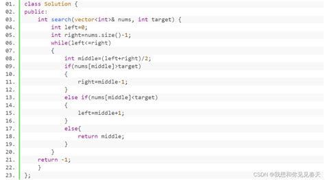 代码随想录算法训练营第一天 704 二分查找、27 移除元素。 Csdn博客