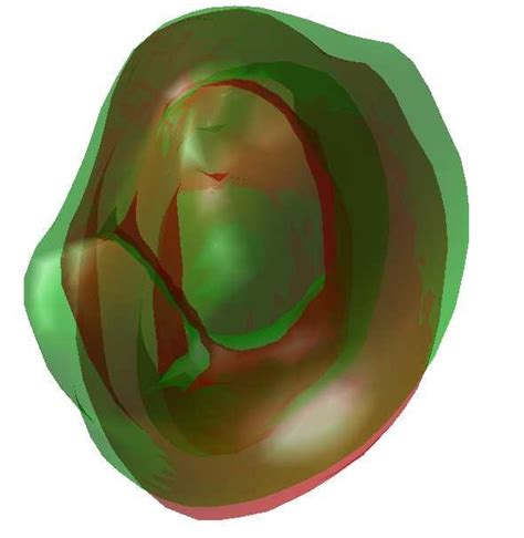 diffusion wavelets model reconstruction first row for heart results