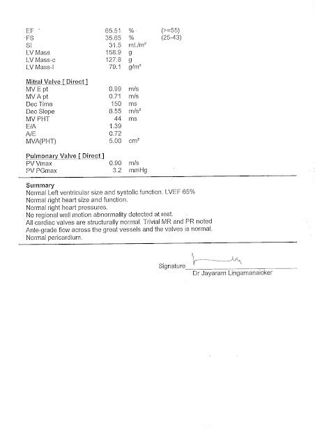 KC Personal Thoughs Echocardiogram Report