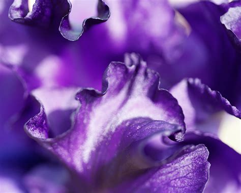 Eric Sander Photographe Galeries