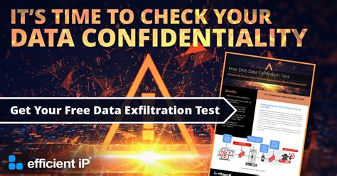 Request Dns Data Exfiltration Test Johan Byl