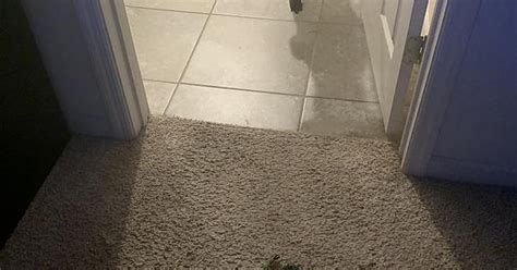 Got All My Paperwork Done For The New Job Album On Imgur