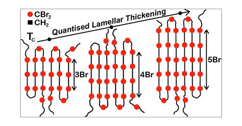 Molecular Simulations Of Quantized Lamellar Thickening In Polyethylenes With Regularly Spaced