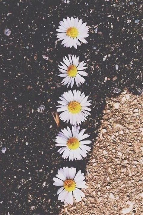 60 ภาพพื้นหลัง วอลเปเปอร์มือถือสวยๆ สไตล์ฮิปสเตอร์ Ladyissue เว็บรีวิวเครื่องสำอาง ชุมชน