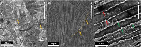 Microstructure Investigation Of The In718 Samples In As Build Download Scientific Diagram