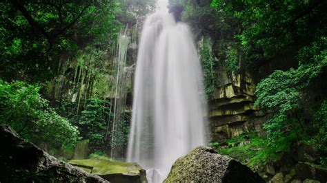 ជម្រើសនៃការស្នាក់នៅដ៏ល្អបំផុតនៃឧទ្យានជាតិគិរីរម្យប្រទេសកម្ពុជា