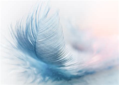Angel Of Inner Wisdom And Illumination Archangel Uriel