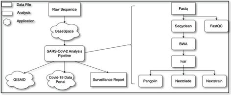 Sars Cov 2 Genomics Surveillance Architecture And Tools Incorporated Download Scientific