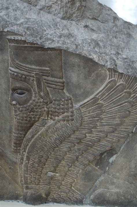 Dsc0052 Last One Jenny Brophy Flickr