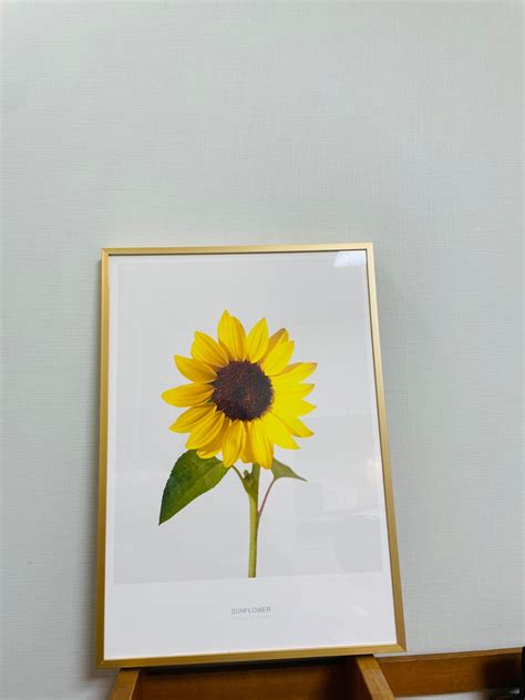 돈 들어오는 해바라기 고급액 당근마켓 중고거래