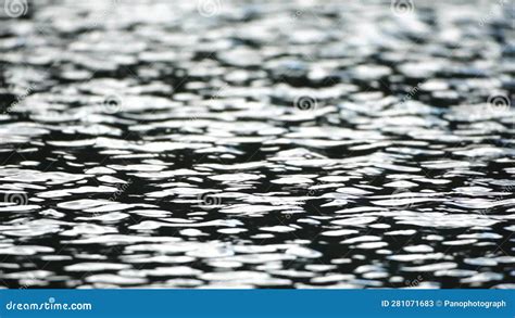 Sun Reflecting On Sparkling Sea Lake Water Surface Ocean At Sunset