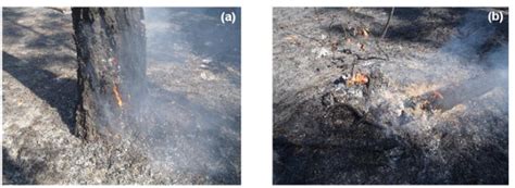 Figure 1 From Measurements Of Reactive Trace Gases And Variable O3 Formation Rates In Some South