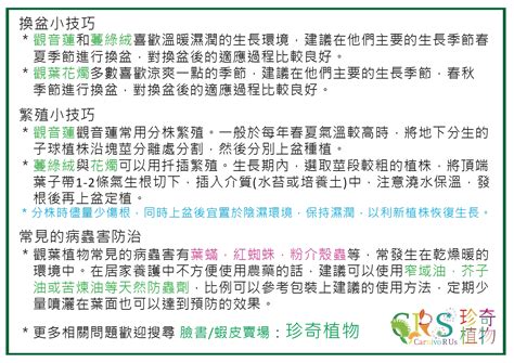 瑪德蓮觀音蓮 三吋盆寄出 黑葉觀音蓮 小型可愛的黑葉觀音蓮 喜歡溫暖亮散光 珍奇植物 蔓綠絨 火鶴 花燭 鹿角蕨 觀葉 蝦皮購物